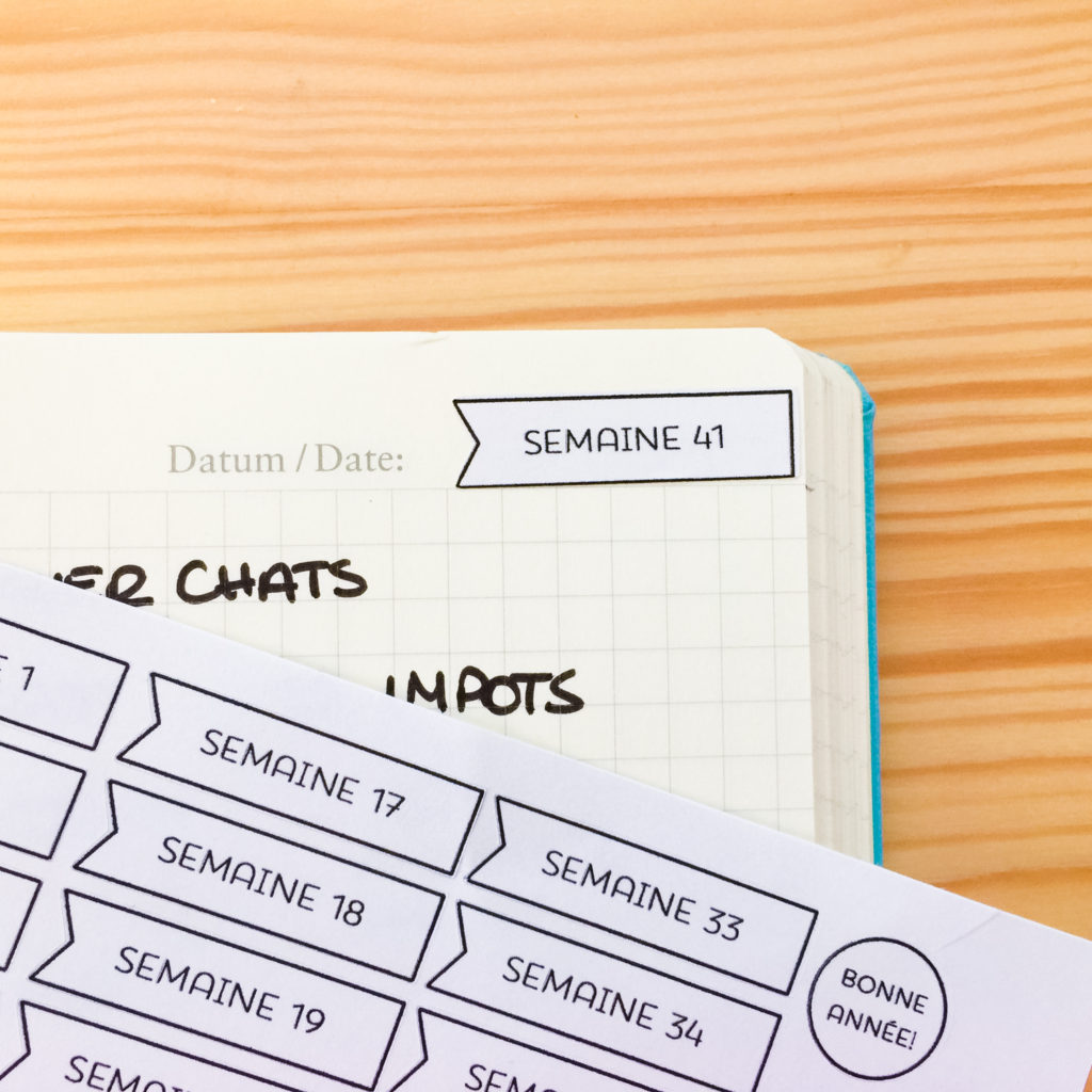 Weekly Page Bullet journal. Mises en page minimalistes.